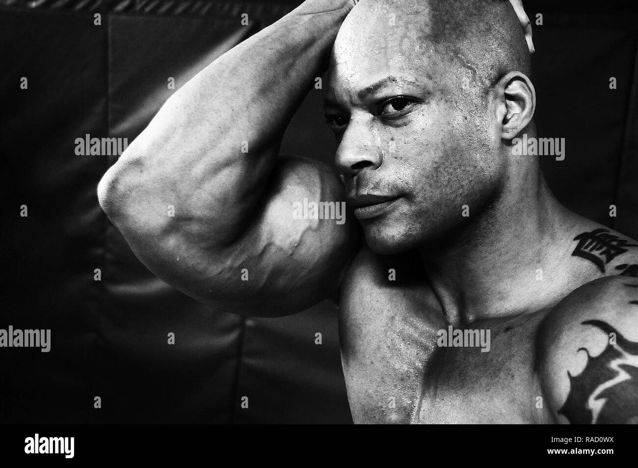 Chief Warrant Officer 3 Truman Ward, a drug-free, professional body ...