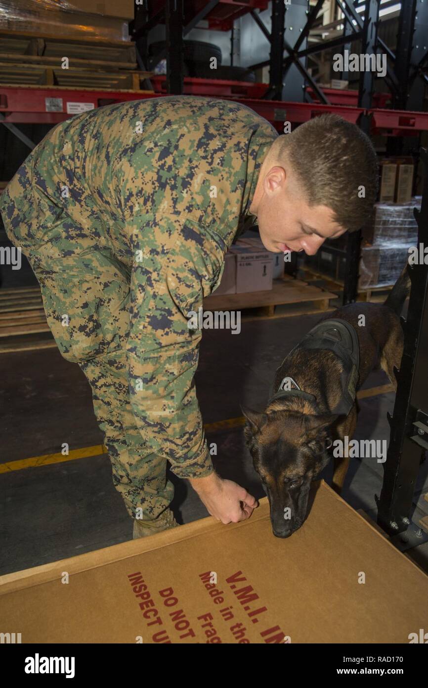 U.S. Marine Corps Lance Cpl. Dylan Hagan, a Provost Marshal’s Office ...
