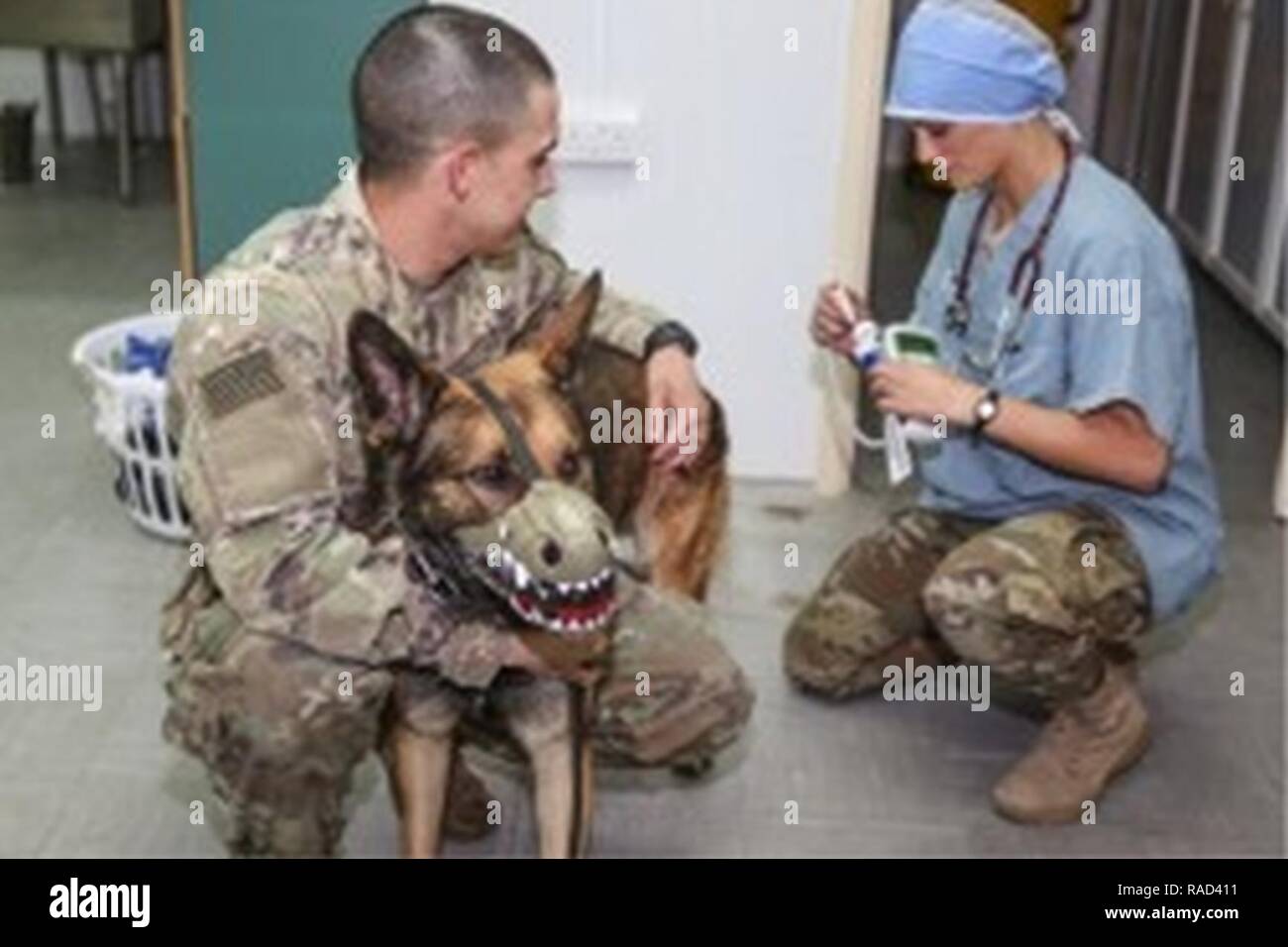 Sgt. Jeremy Roberts, MWD Handler, 1-116th Infantry Battalion holds his ...