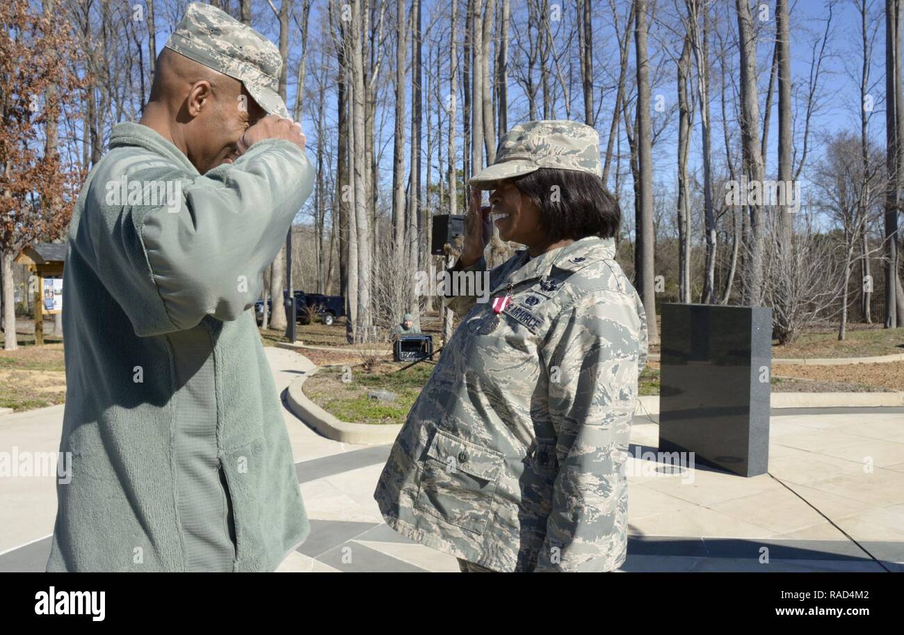 Air medal with oak leaf cluster hi-res stock photography and images - Alamy
