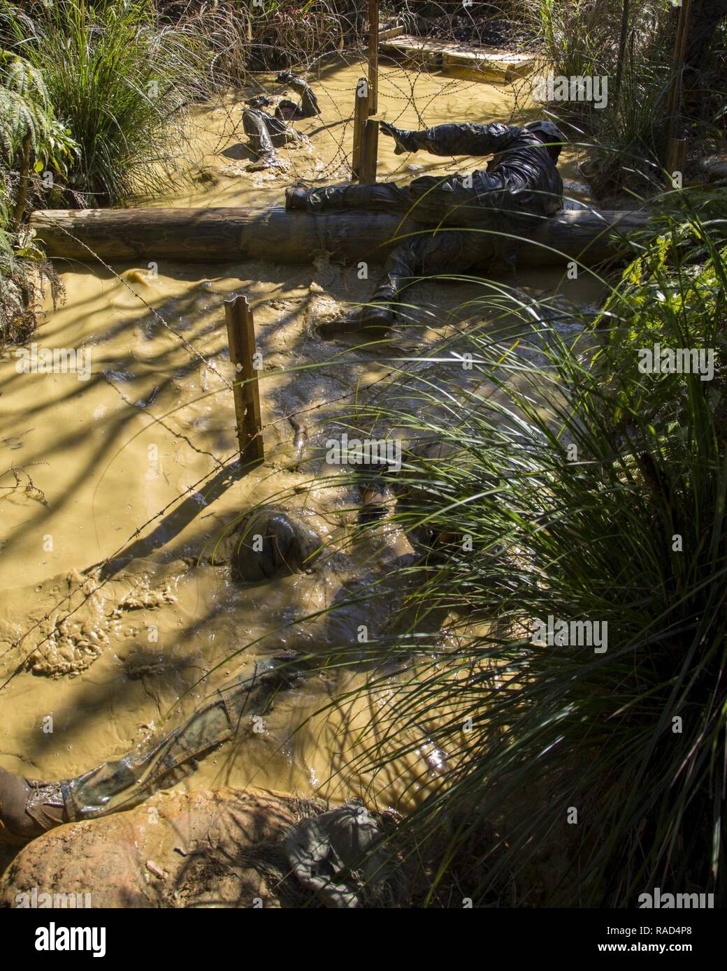 U.S. Marines low crawl through a stream of barbed wire which is one of ...
