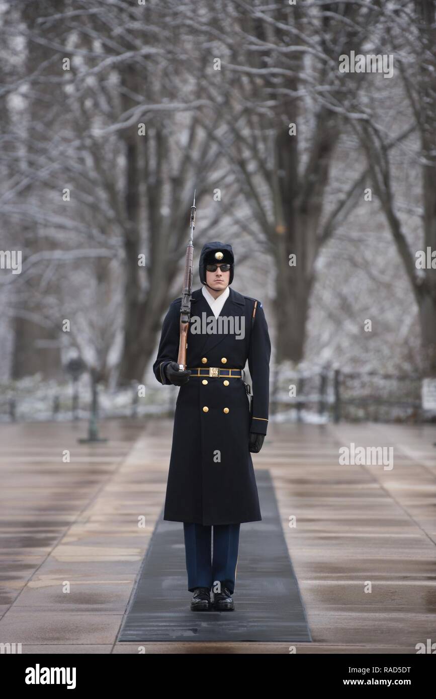A Tomb Sentinel guards the Tomb of the Unknown Soldier in Arlington ...