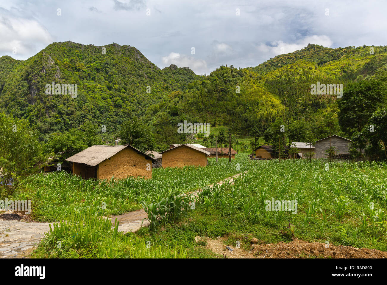 Small valley mountain village and sod houses, Ha Giang Loop, Ha Giang ...