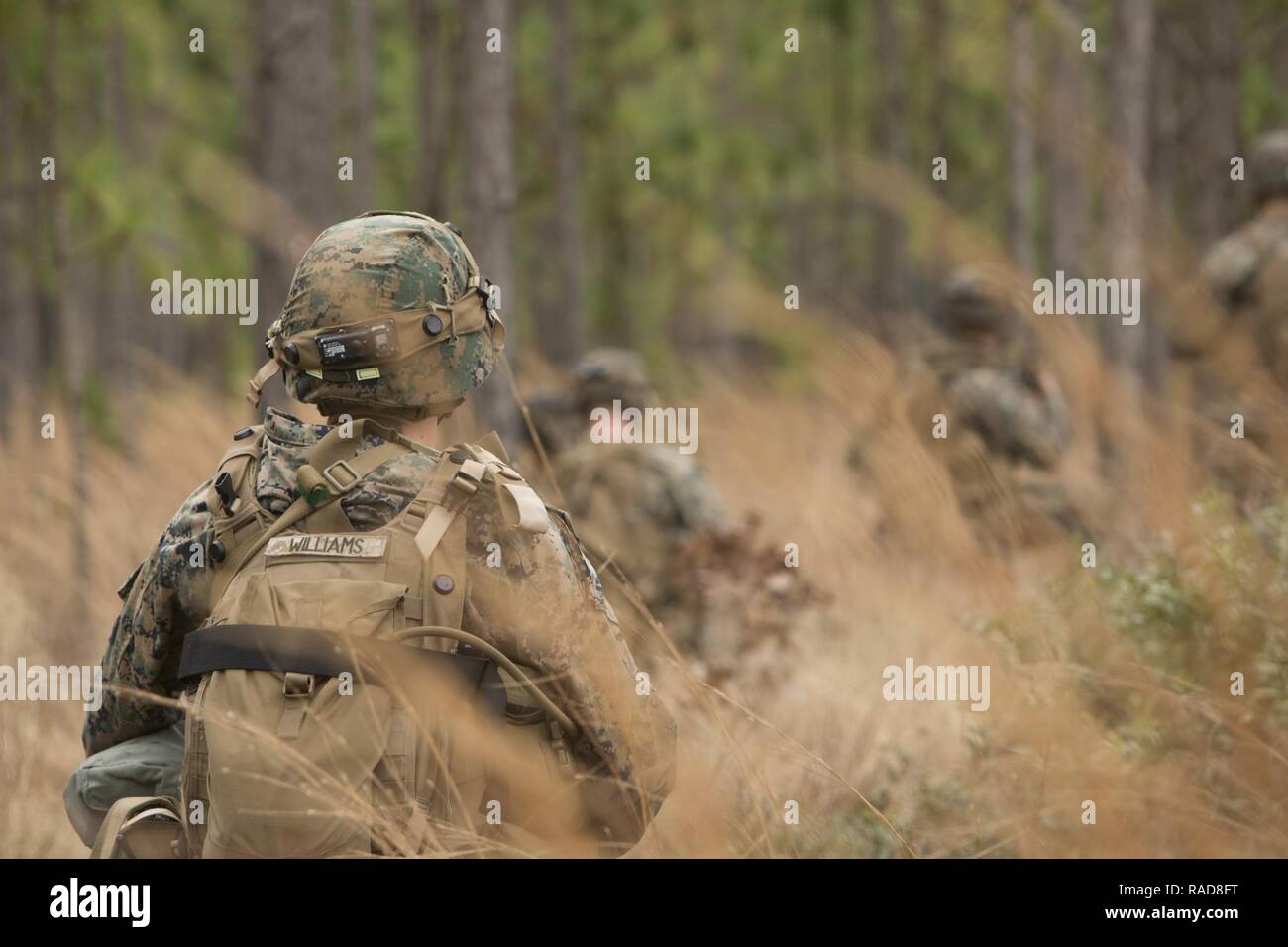 U.S. Marine Corps Pfc. Michael D. Williams, rifleman with Fox Company ...
