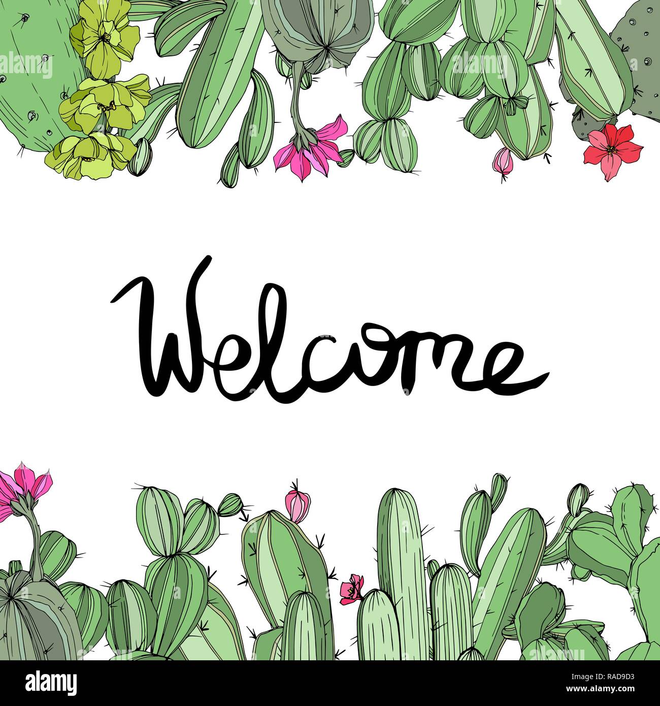 Cacti border Stock Vector Images - Alamy