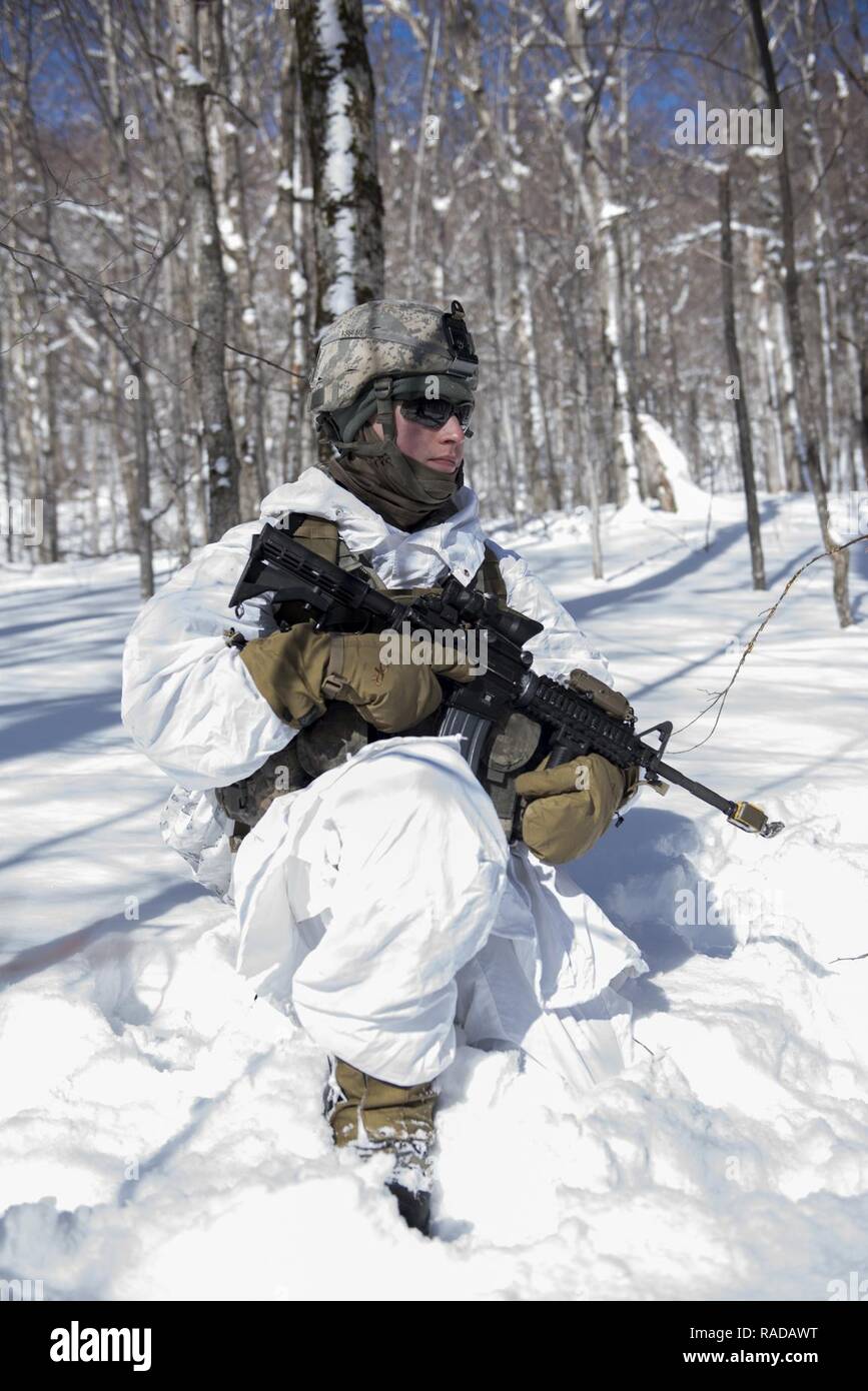 Us army 86th infantry brigade hi-res stock photography and images - Alamy