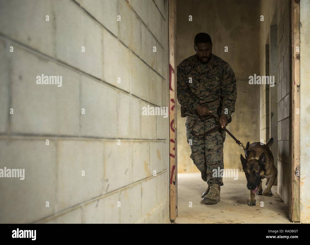 Cpl. Lawrence O. Johnson II clears a building of explosive ordnance ...