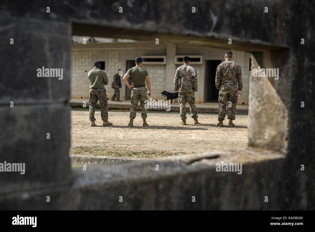 Iii mef headquarters group usmc hi-res stock photography and images - Alamy