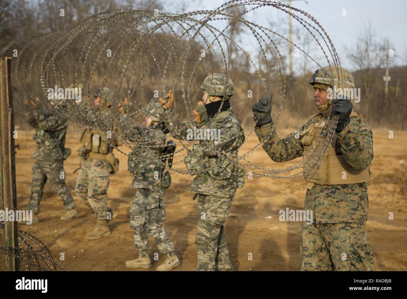U.S. Marines, with Alpha Company, 9th Engineer Support Battalion, 3rd ...
