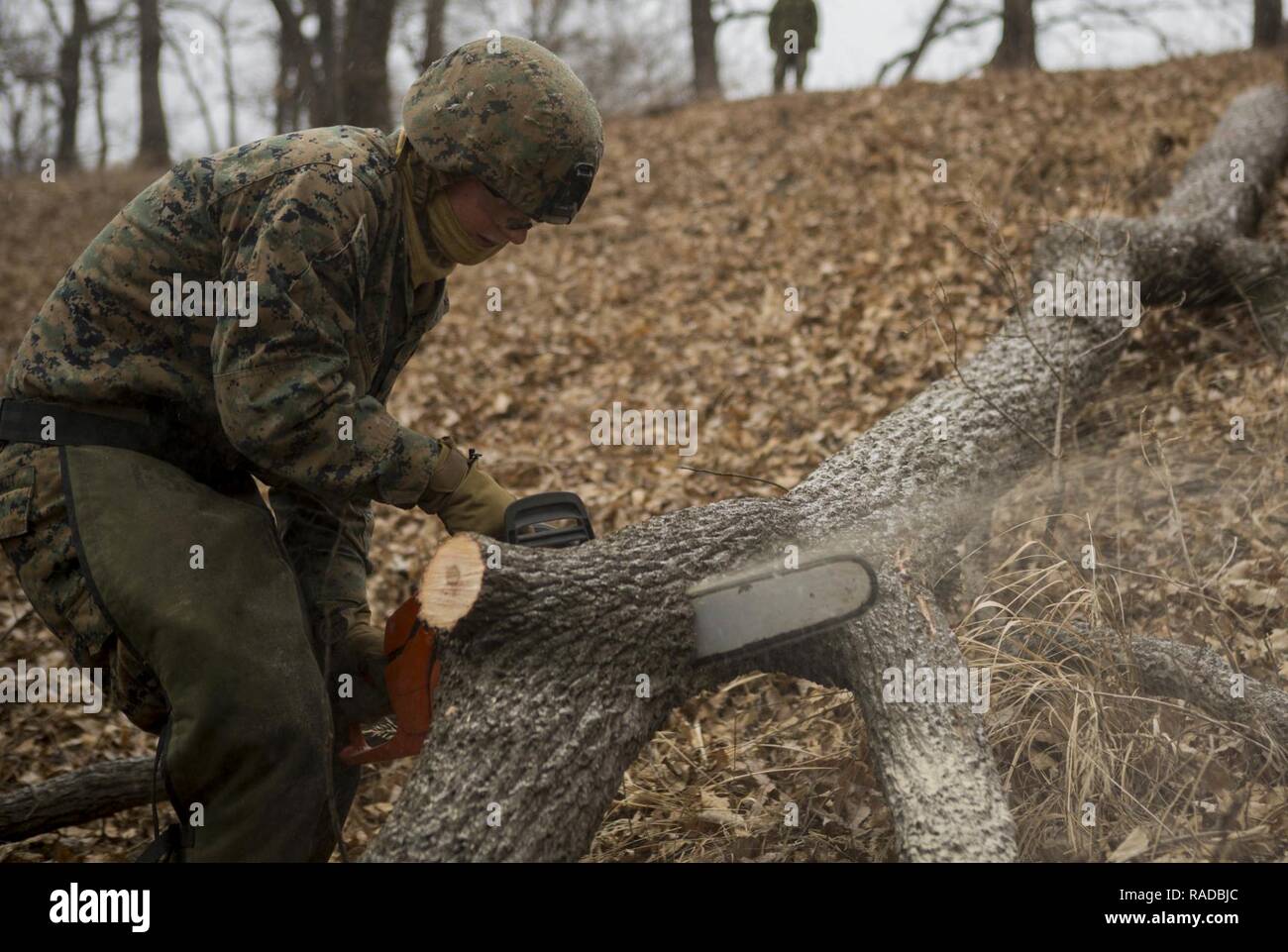 U.S. Marine Lance Cpl. Eli Schmidt, a combat engineer with Alpha ...