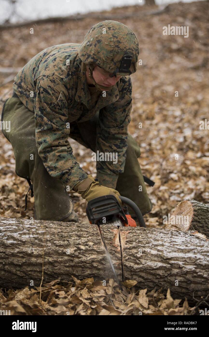 U.S. Marine ance Cpl. Eli Schmidt, a combat engineer with Alpha Company ...