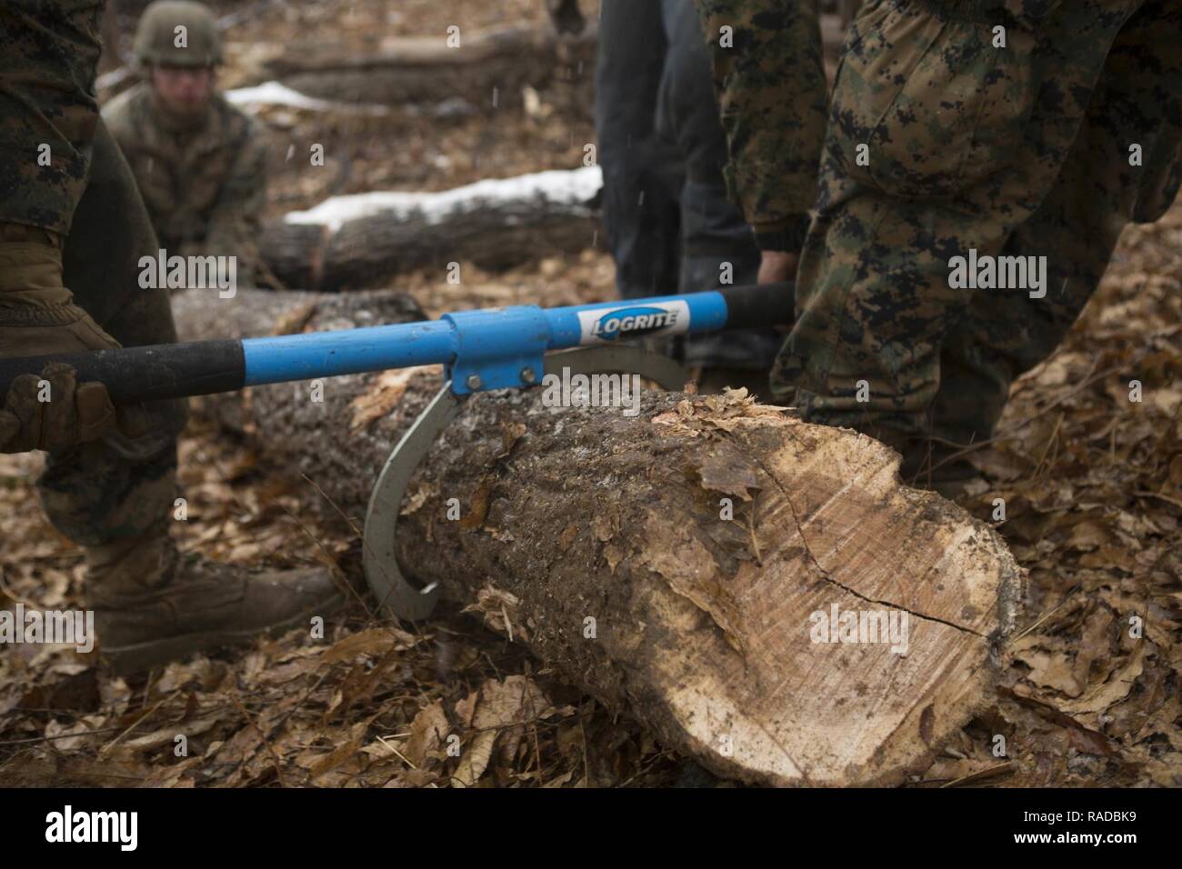 U.S. Marines with Alpha Company, 9th Engineer Support Battalion, 3rd ...