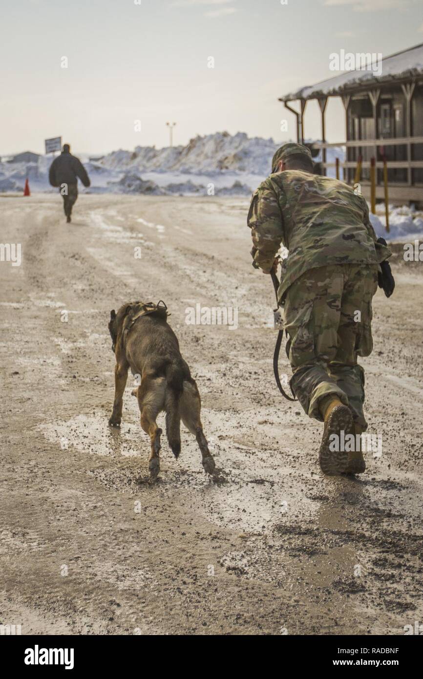 131st military working dog detachment hi-res stock photography and ...