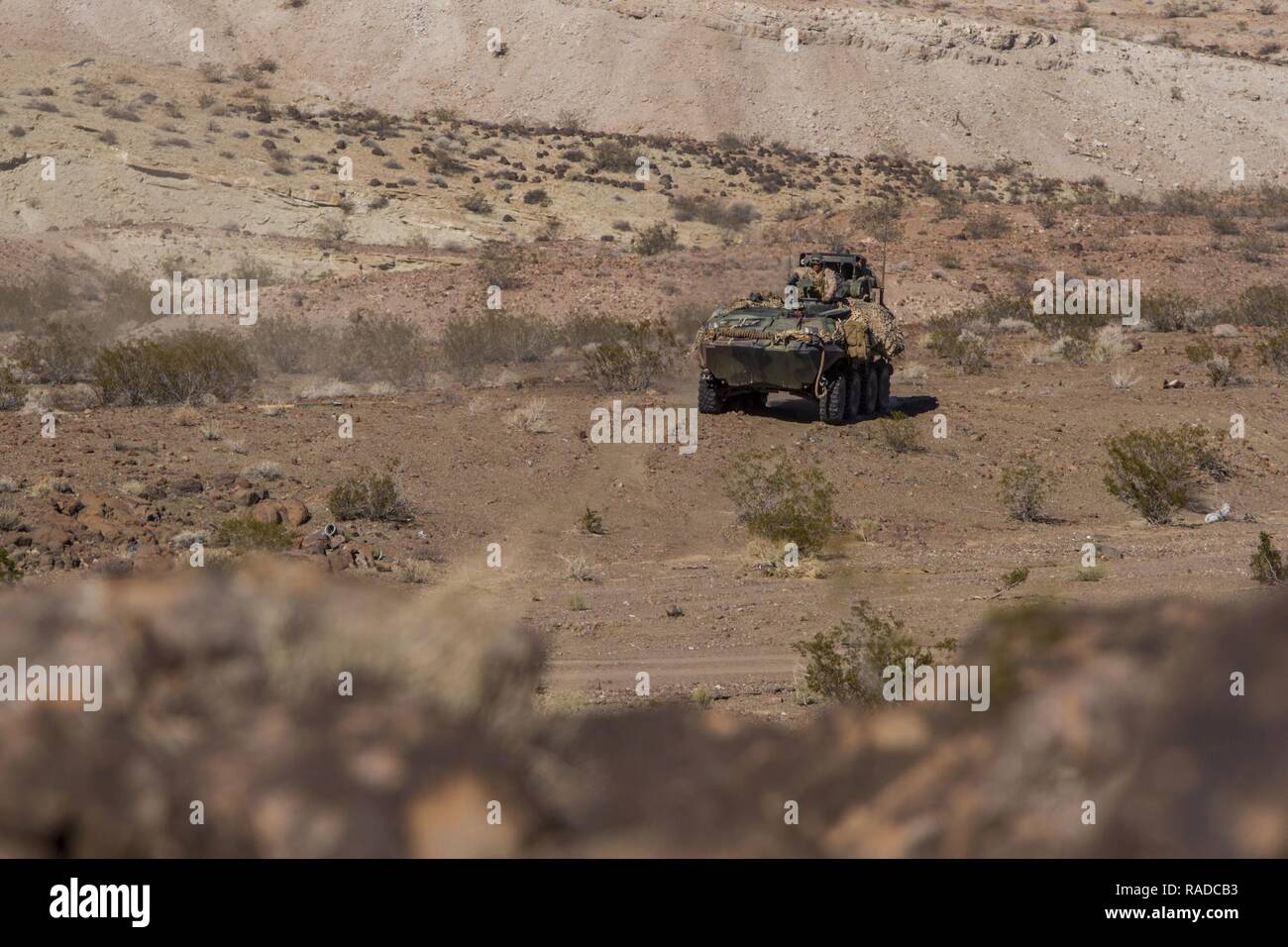 A light armored vehicle with 3rd Light Armored Reconnaissance Battalion ...