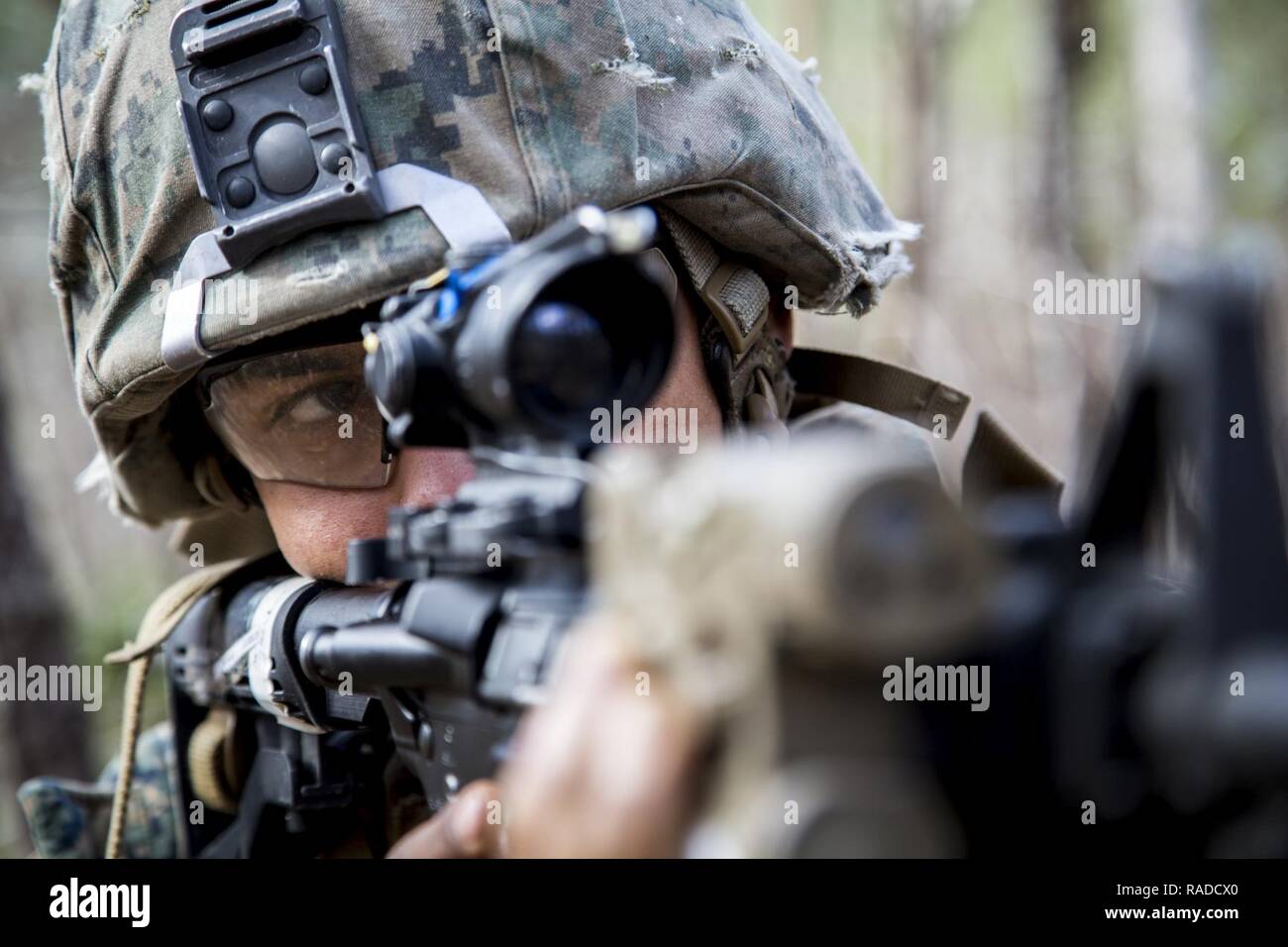 A U.S. Marine with Alpha Company, Infantry Training Battalion (ITB ...