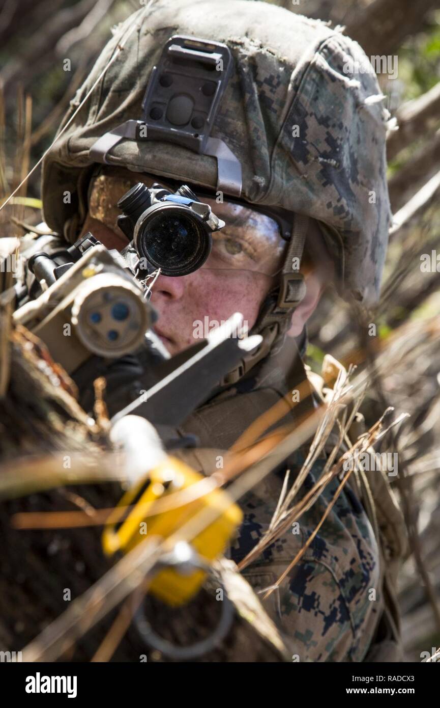 A U.S. Marine with Alpha Company, Infantry Training Battalion (ITB ...