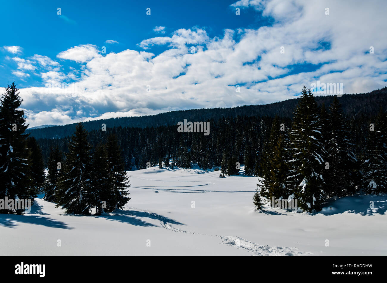 Igman mountain hi-res stock photography and images - Alamy