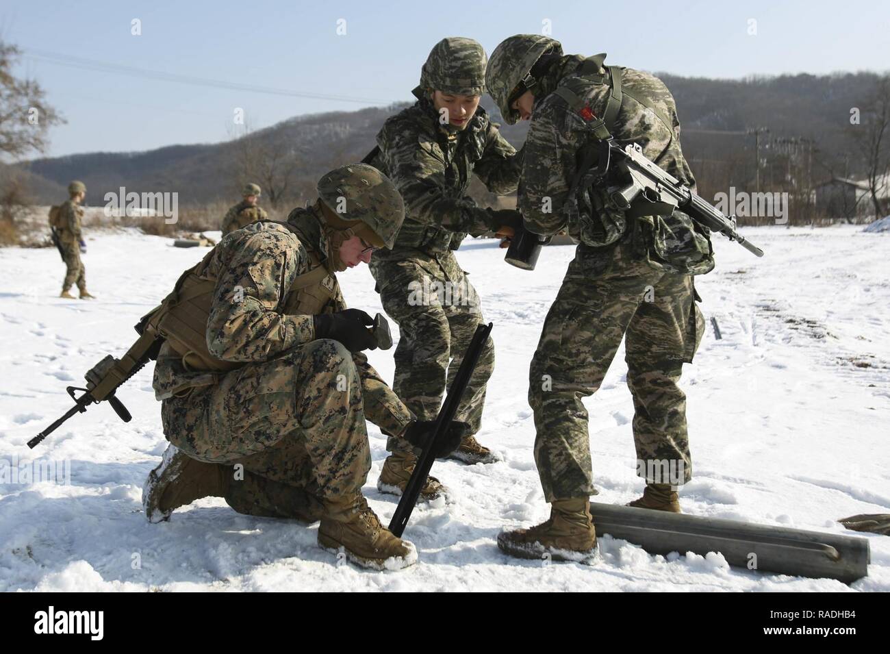A U.S. Marine with Alpha Company, 9th Engineer Support Battalion, 3rd ...