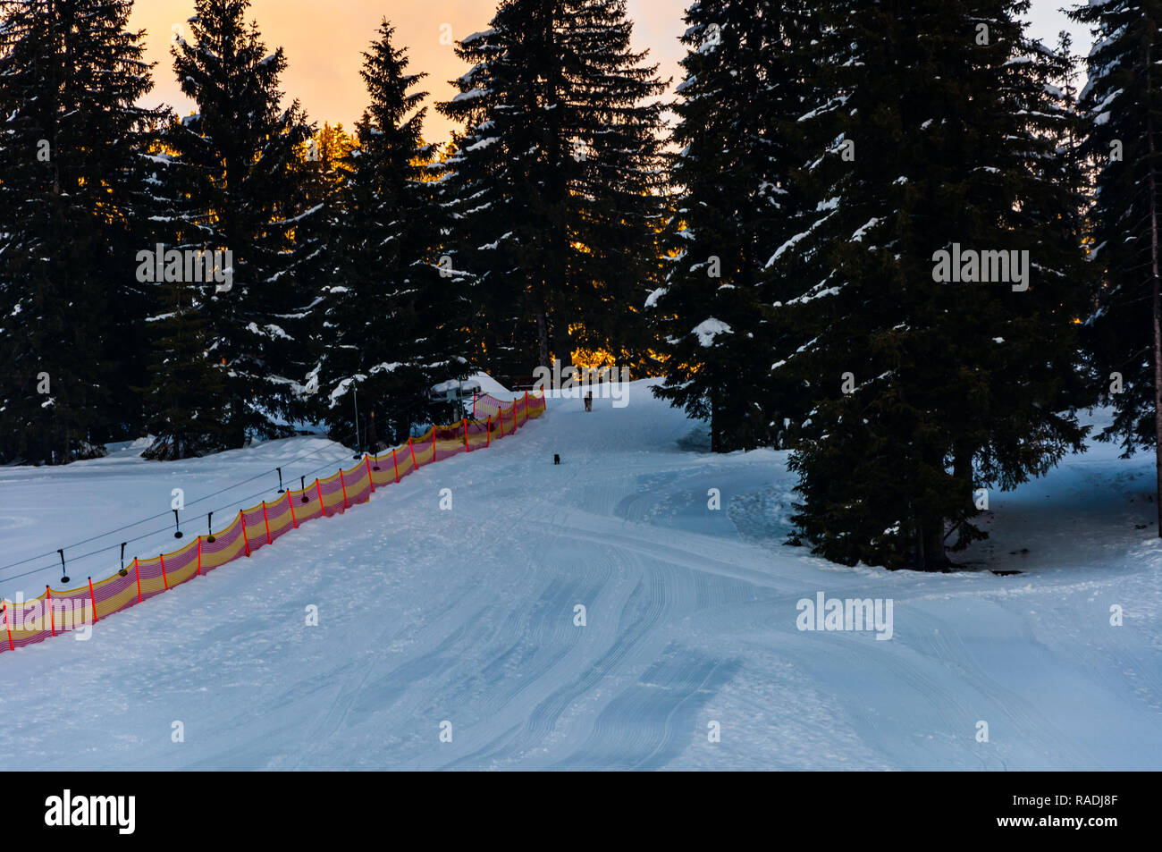 Beautiful mountain Igman in Bosnia and Herzegovina during the sunny ...