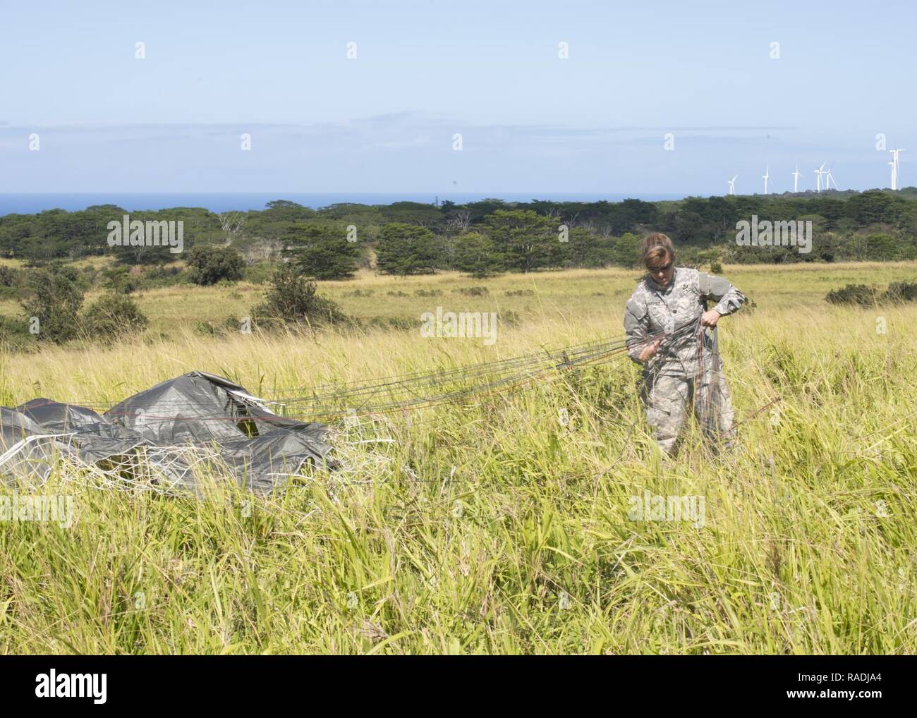 Col Whitney High Resolution Stock Photography and Images - Alamy