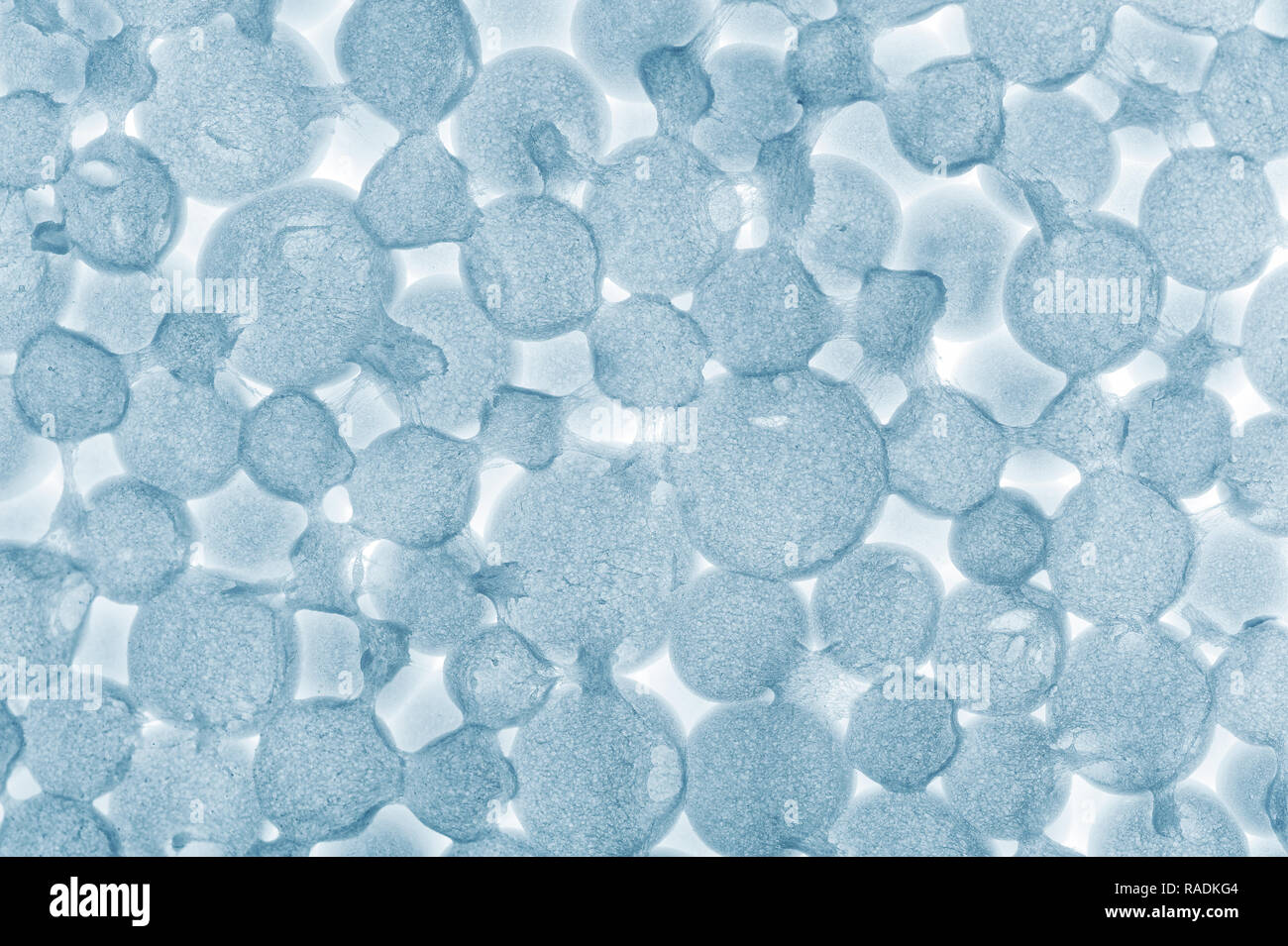 Plastic foam hi-res stock photography and images - Alamy
