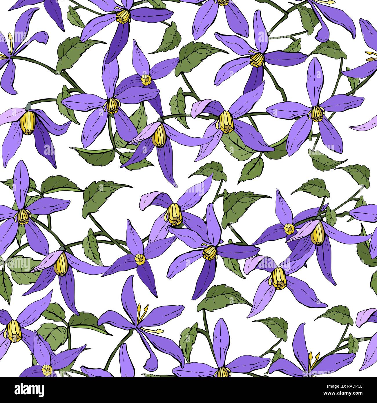 Colorful bright hand drawn seamless pattern with clematis garden flowers on a white background ...