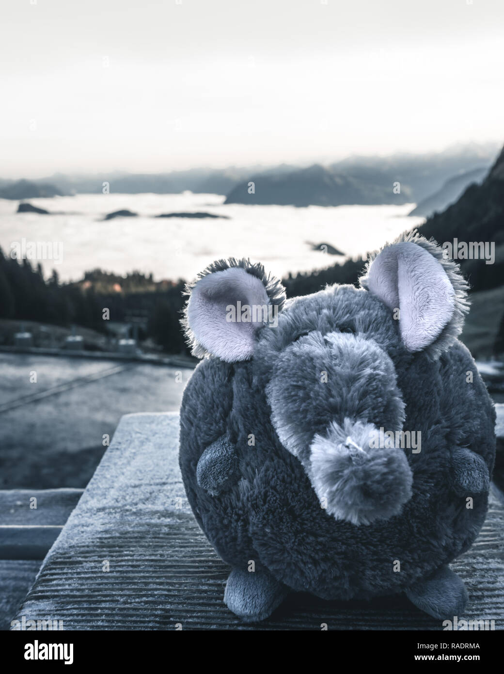 Plush mount hi-res stock photography and images - Alamy