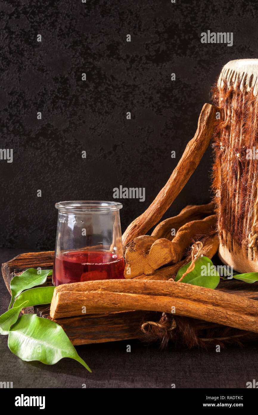 Ayahuasca brew in glass with shamanic drum and medicinal herbs Stock ...