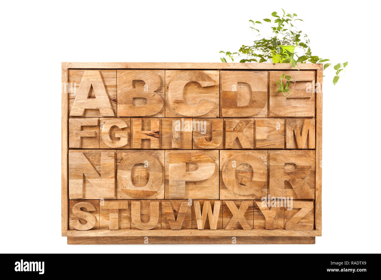 Wooden alphabet cabinet with green plant isolated on white. Organizer ...