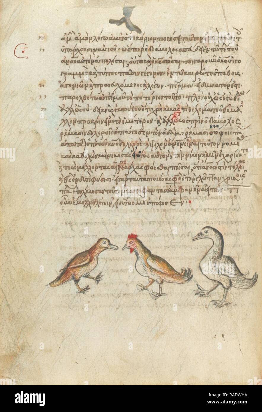 A Duck, a Rooster, and a Goose, Crete, Greece, 1510 - 1520, Pen and red ...