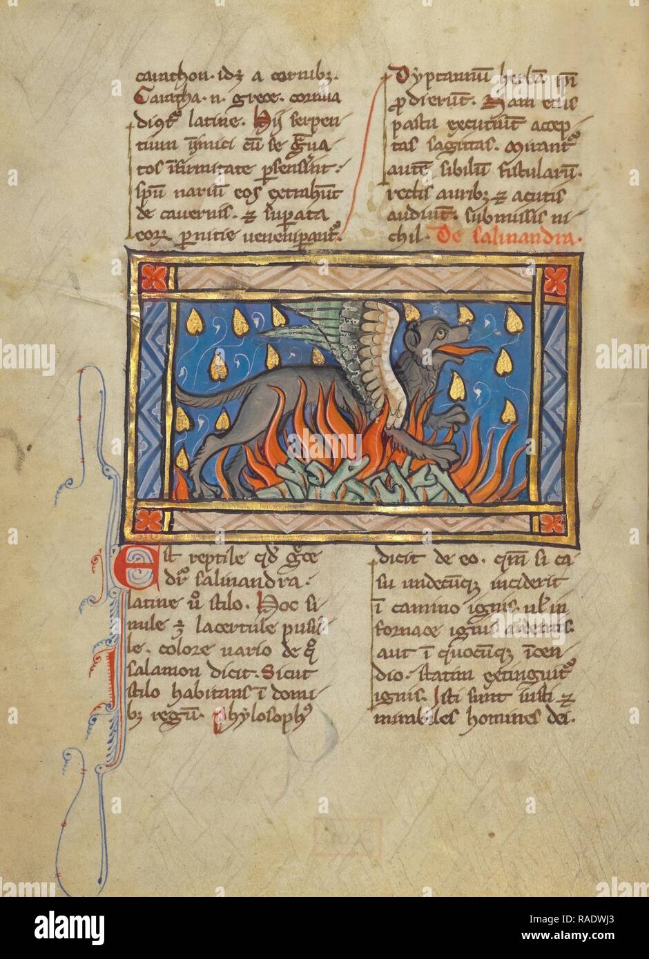 A Salamander, Thérouanne ?, France (formerly Flanders), about 1270 ...