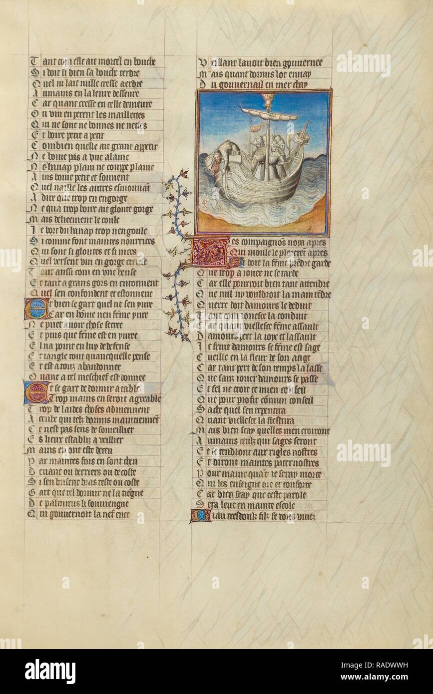 Palinurus aeneas hi-res stock photography and images - Alamy