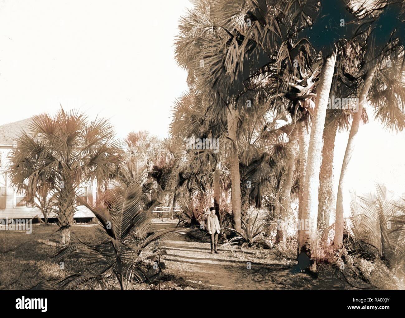 Hotel at Eden, Indian River, Jackson, William Henry, 1843-1942, Hotels ...
