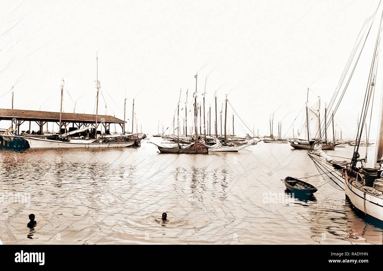 Sponge fleet in harbor, Key West, Fla, Boats, Harbors, Sponges, United ...