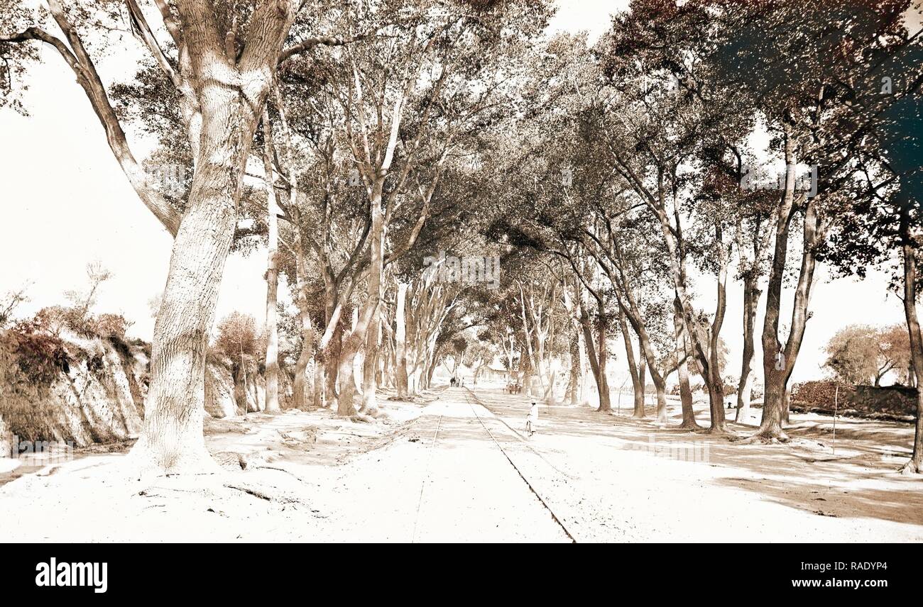 The Alameda, Aguas Calientes, Jackson, William Henry, 1843-1942 ...