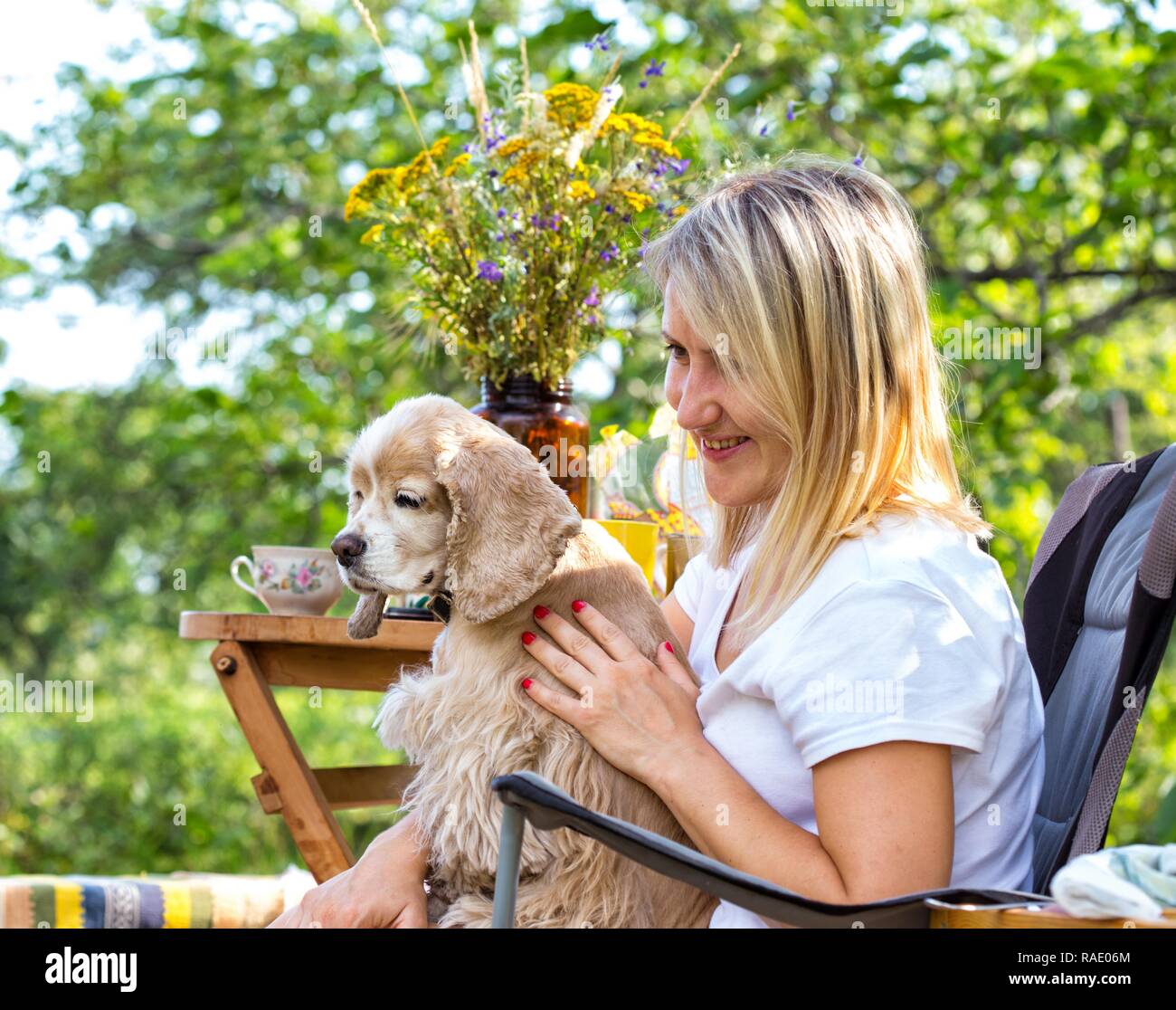 Woman english cocker spaniel hi-res stock photography and images - Alamy