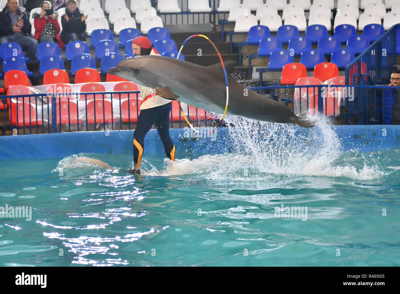 Dolphin jumping hoop hi-res stock photography and images - Alamy