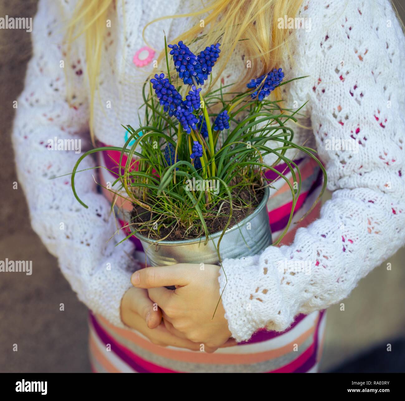 Girl holding hyacinths hi-res stock photography and images - Alamy