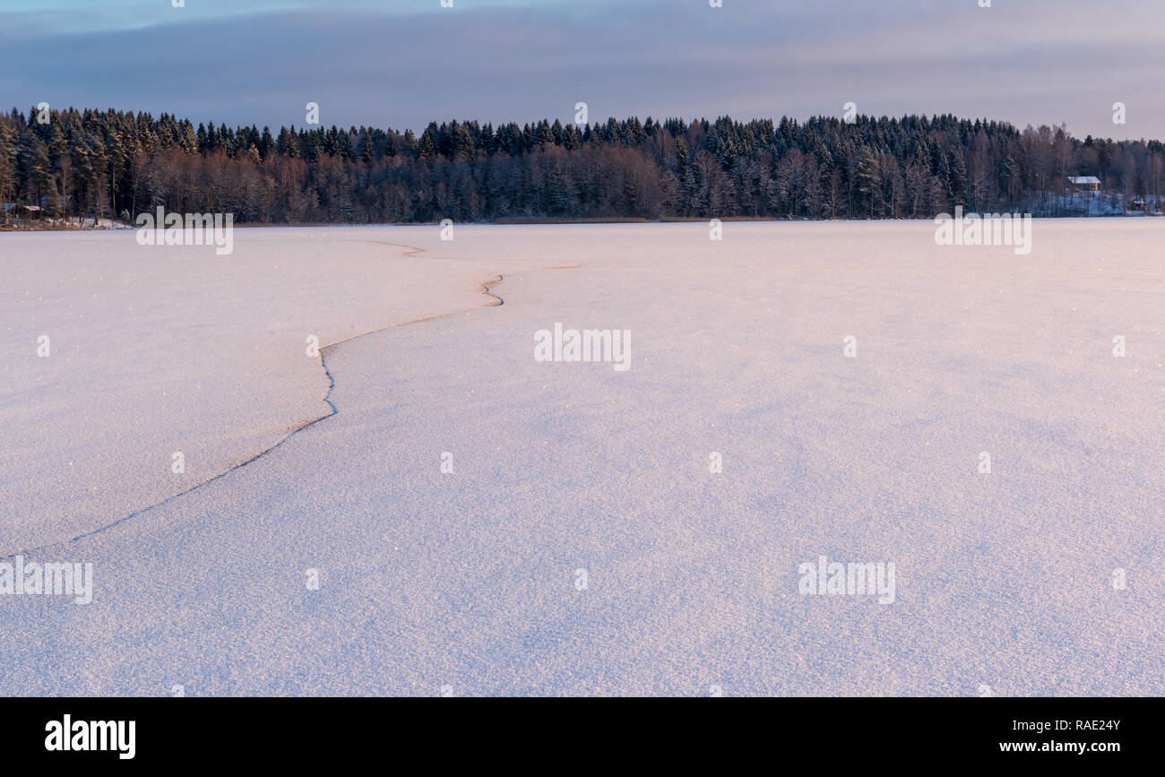 Long thin trees hi-res stock photography and images - Alamy
