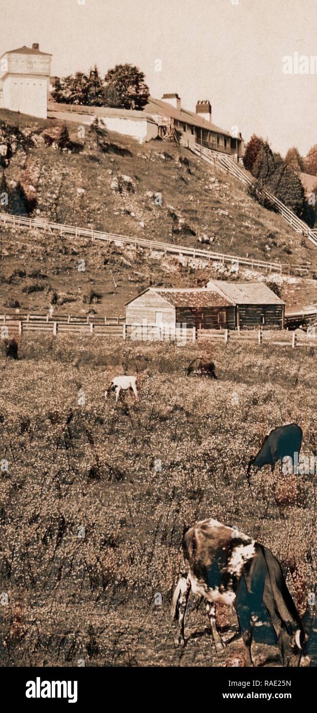 Old Fort Mackinac from the pasture, Forts & fortifications, United ...
