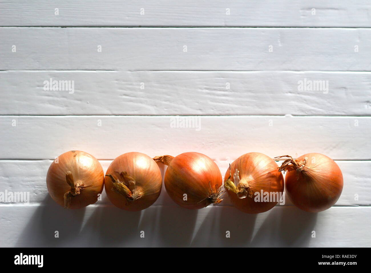 Allium cepa row hi-res stock photography and images - Alamy