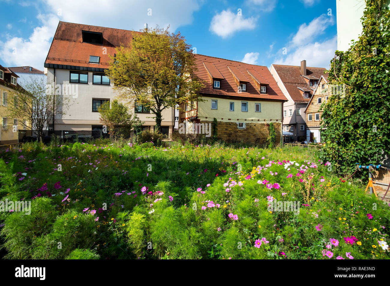 Aalen hi-res stock photography and images - Alamy