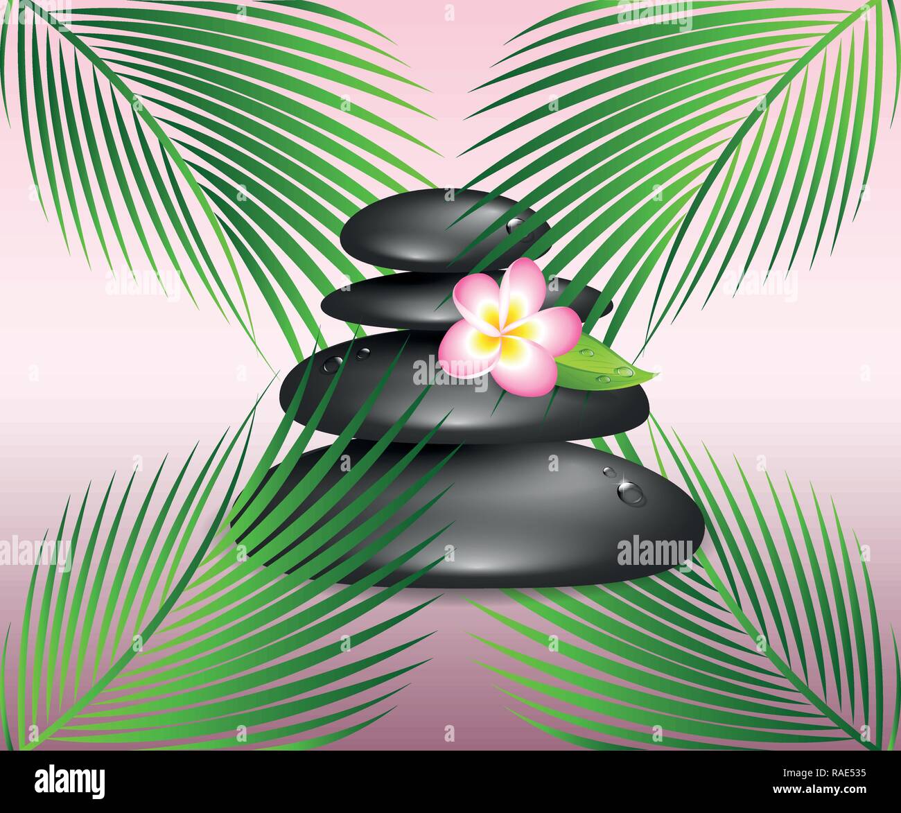 Black pebble spa frangipani flower Stock Vector Images - Alamy