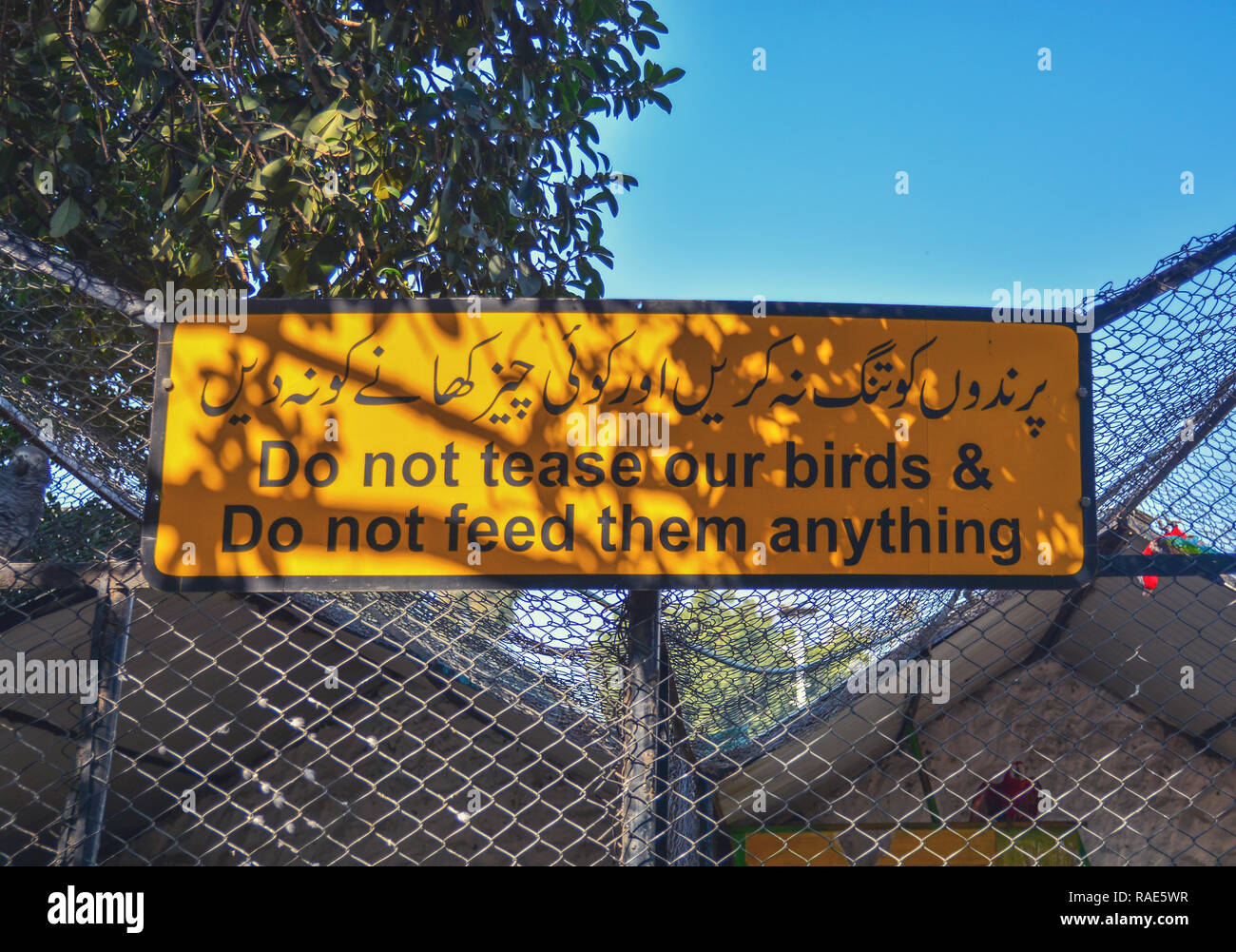 Warning Sign regarding Birds in a Zoo Stock Photo - Alamy