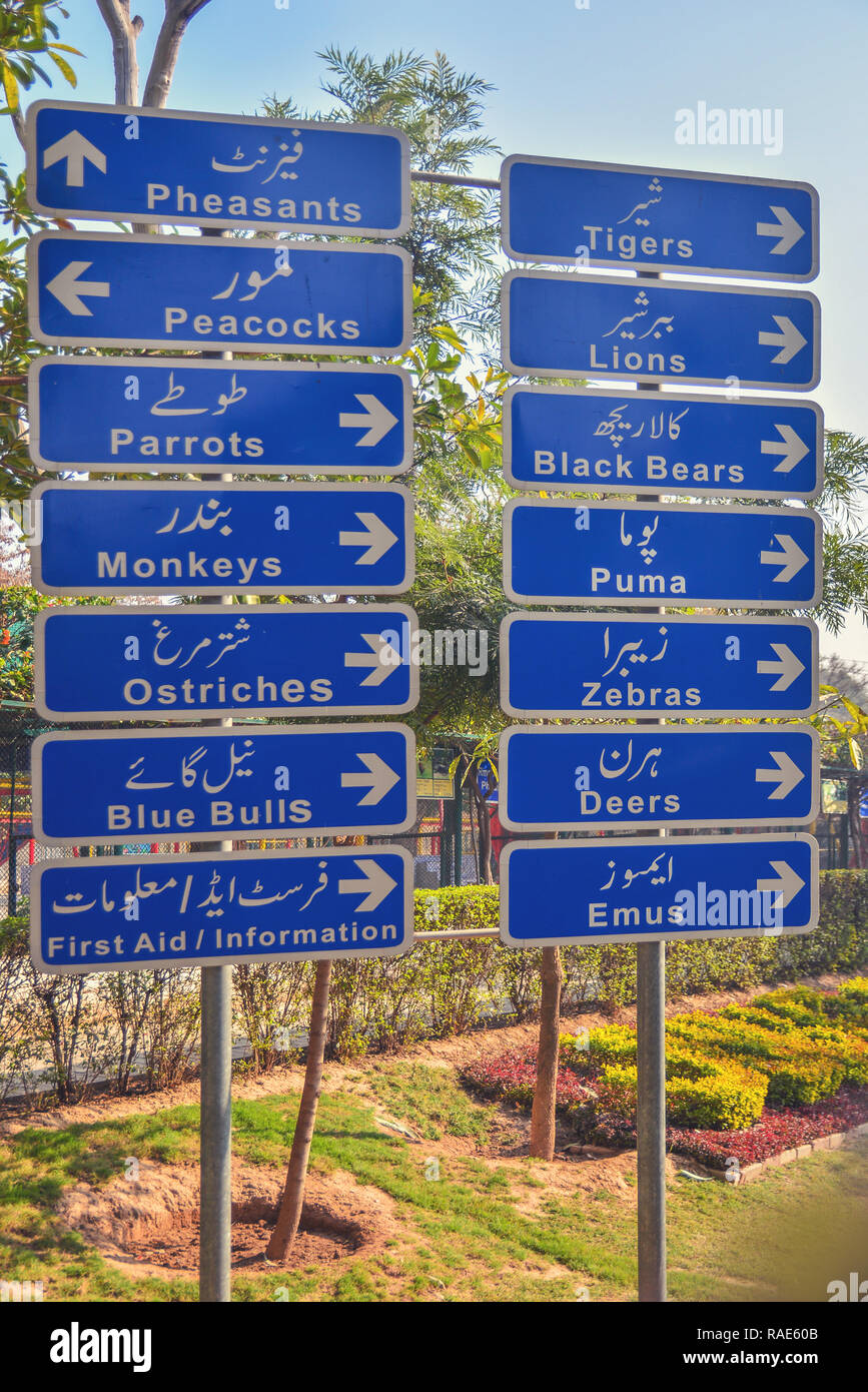 Direction Sign Board