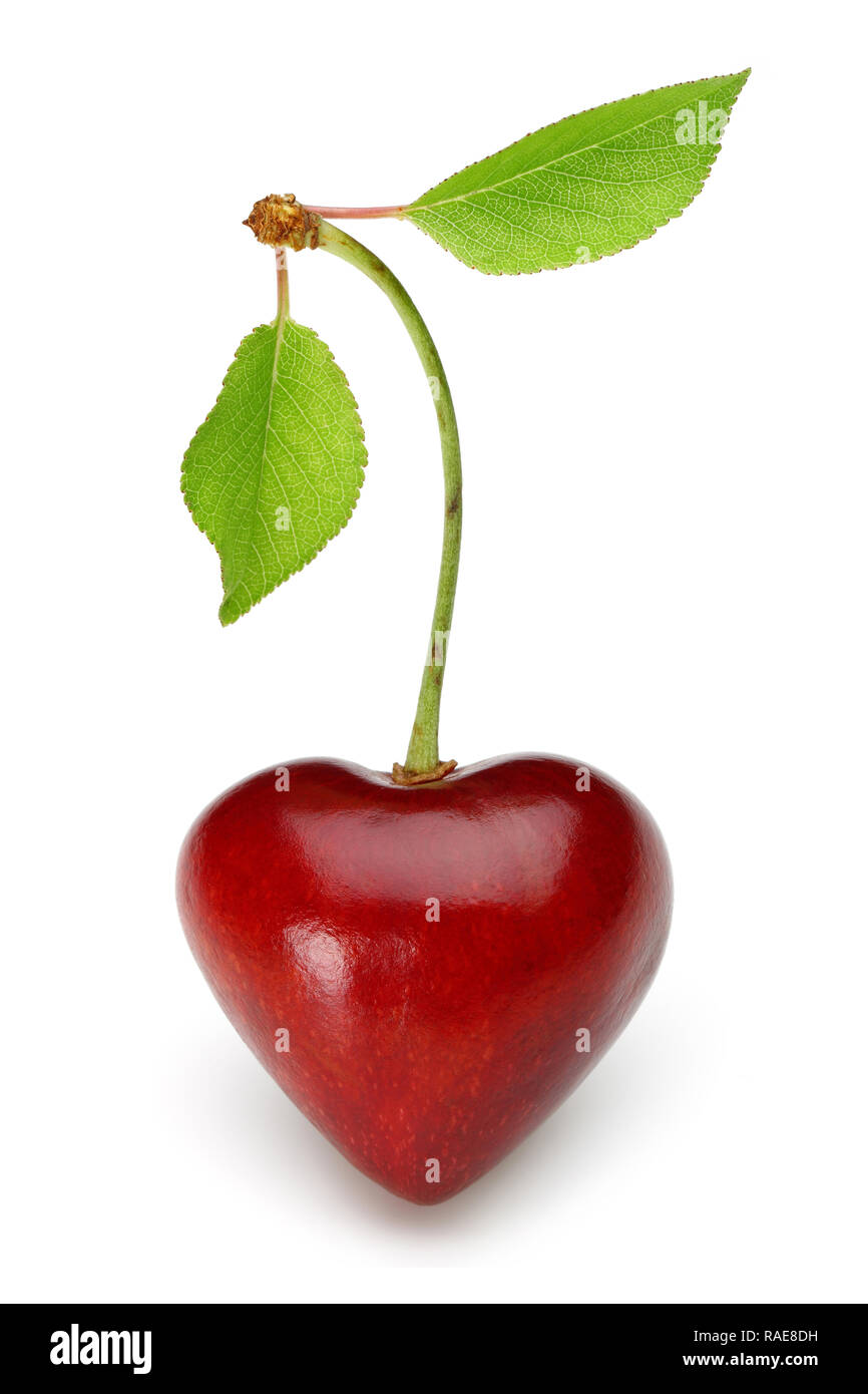 Heart shaped red cherry with stalk and green leaves isolated on white ...