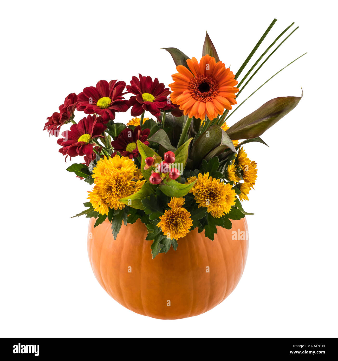 Colorful autumn composition pumpkin Cut Out Stock Images & Pictures - Alamy