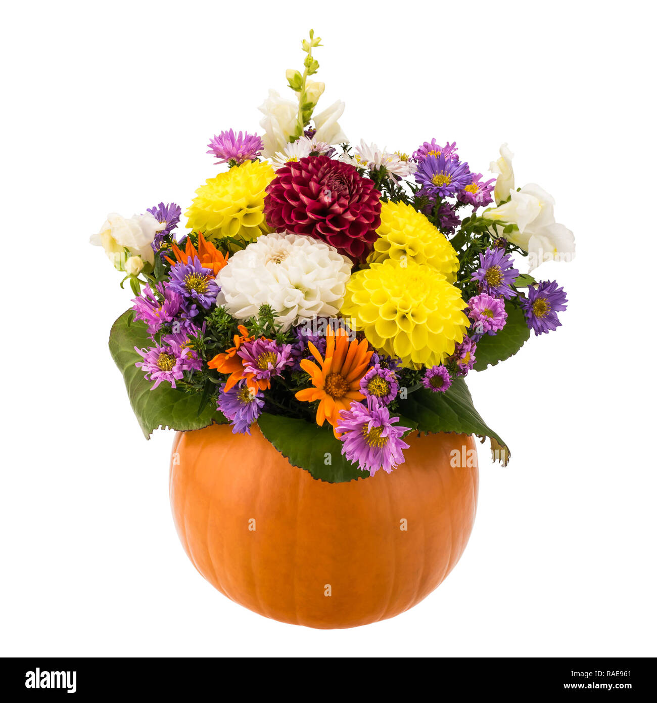 Colorful autumn composition pumpkin Cut Out Stock Images & Pictures - Alamy