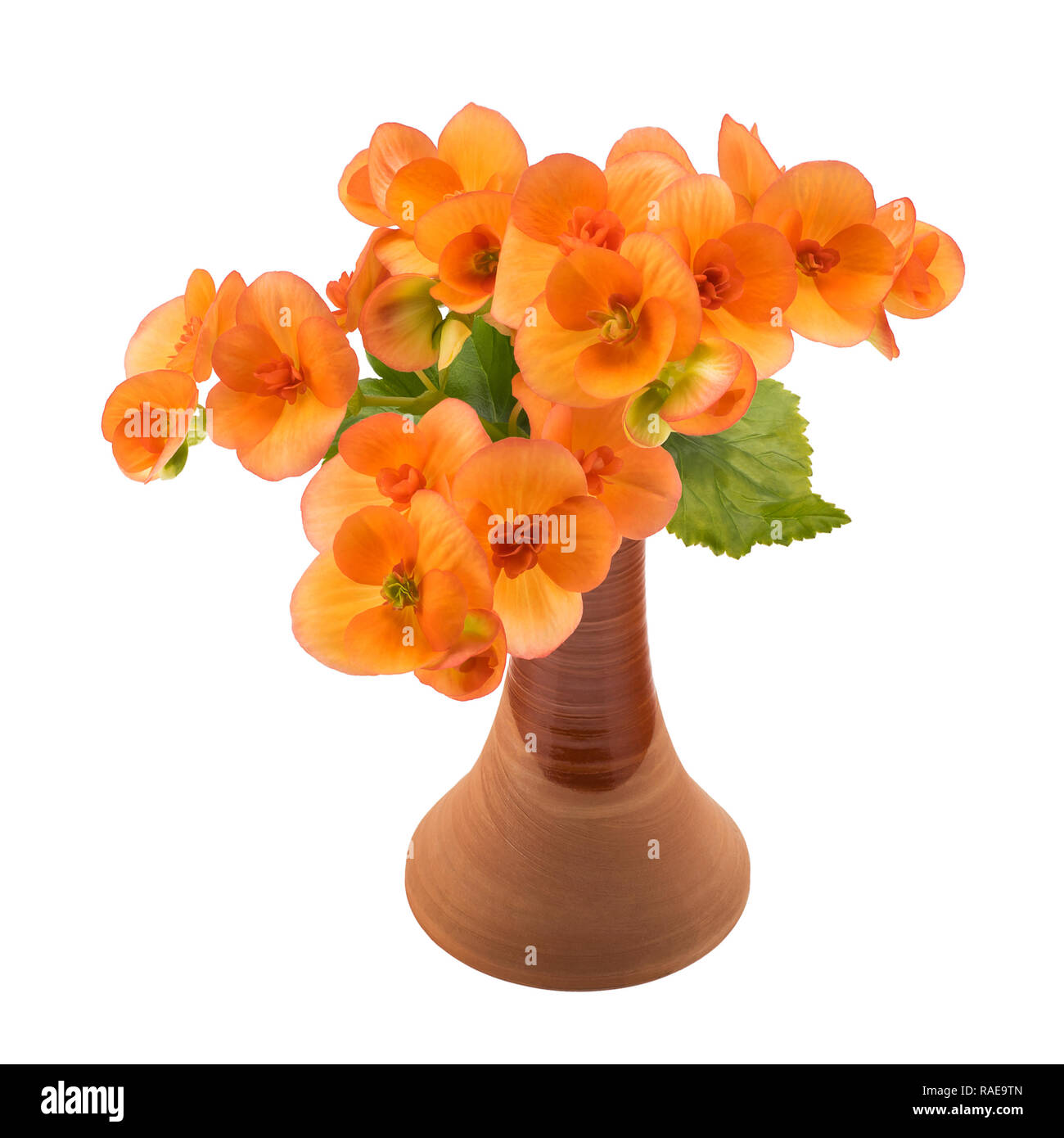 Orange Flowers In A Vase