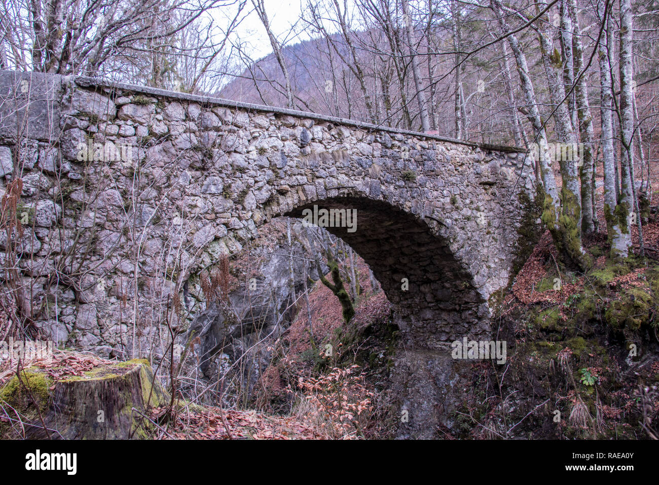 old stone bridge Stock Photo - Alamy